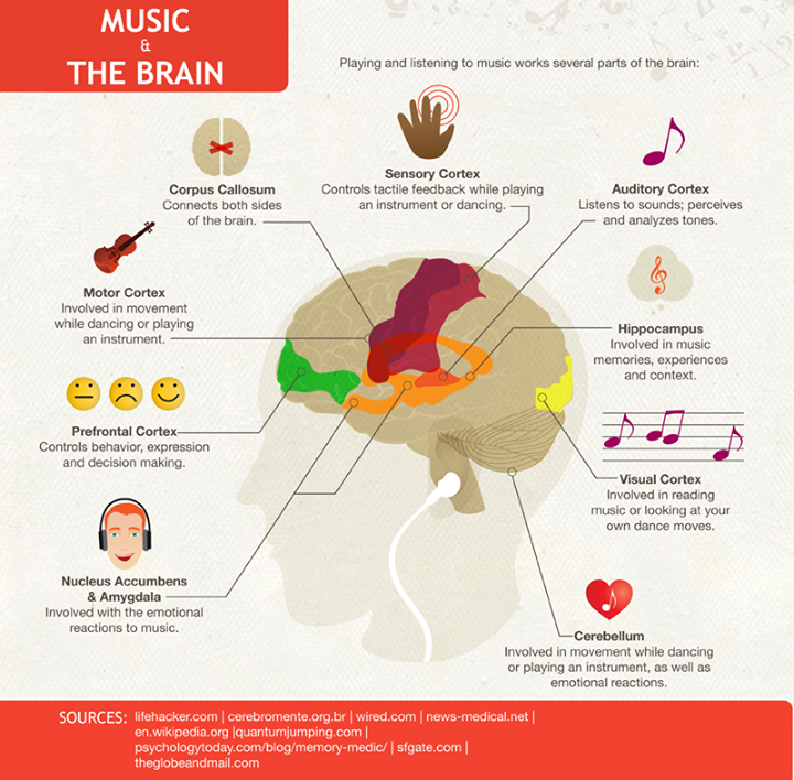 Music & The Brain – Infographic | Riverside South – Music for Young ...